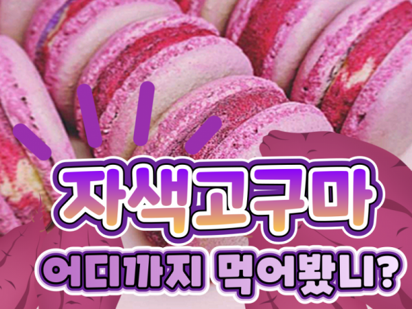 디너의여왕 자색고구마 어디까지 먹어봤니