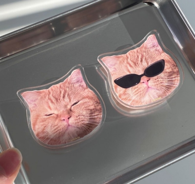 택배의여왕 - [숨(summ)] 힙한 고양이 썬구리 체다 스마트톡 3차