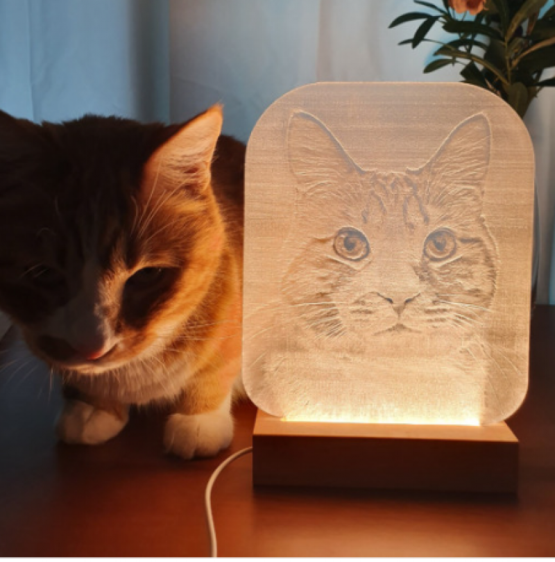 택배의여왕 - [hucat] 아크릴무드등 자유형 2차